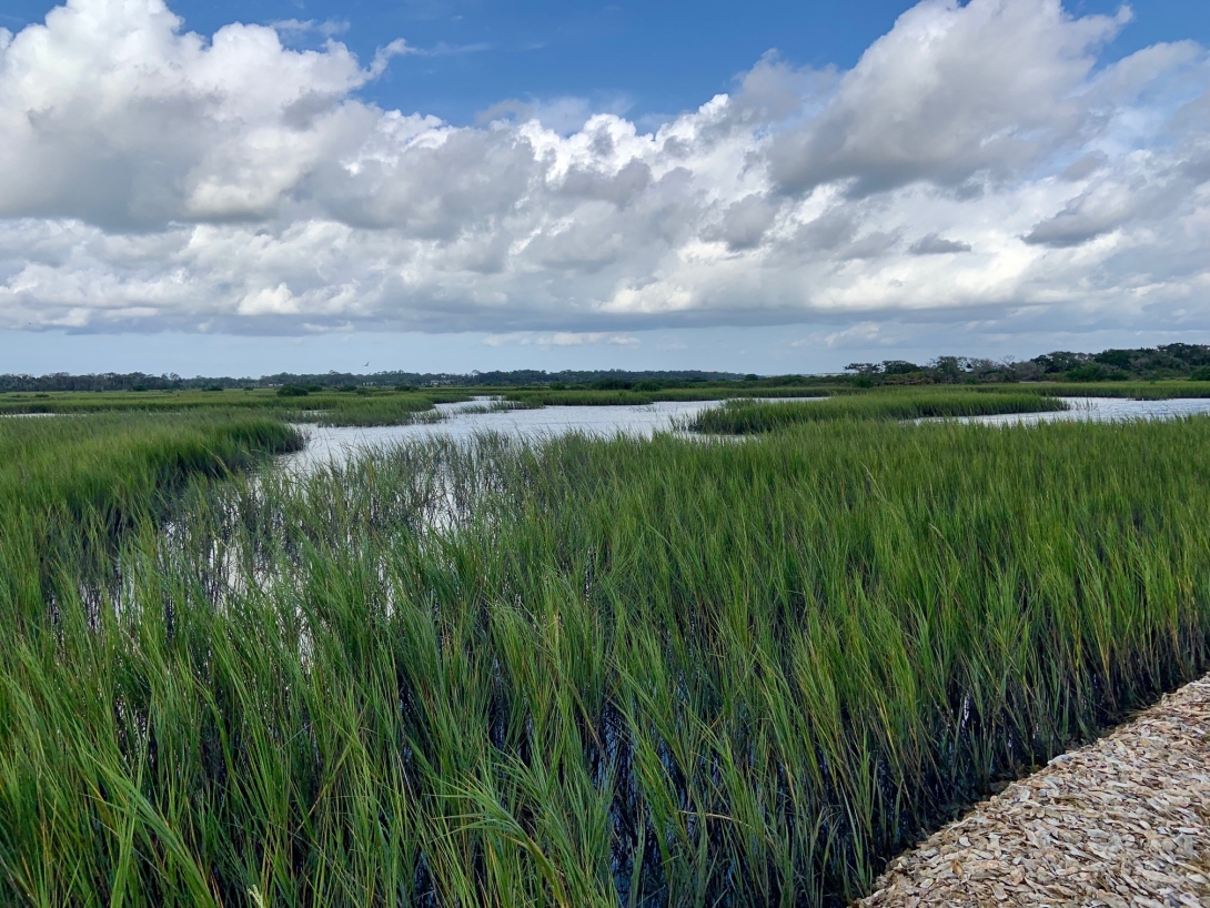 Guana River Marsh Aquatic Preserve | Florida Aquatic Preserves